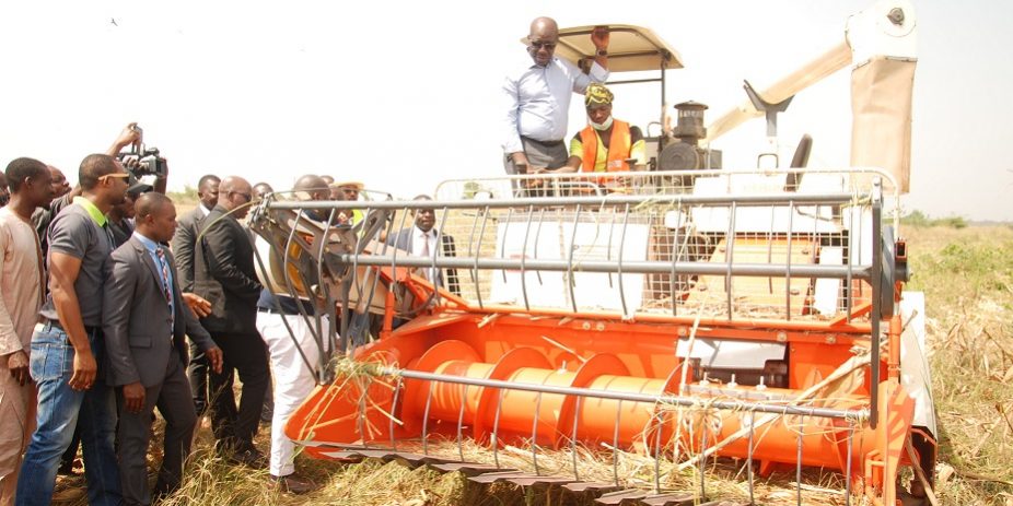 Edo Rice Farmers Happy With Improved Production - Oriental News Nigeria