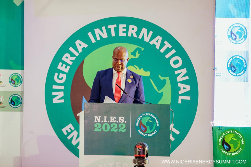 Professional Bodies Prepares For NIES 2023 - Oriental News Nigeria