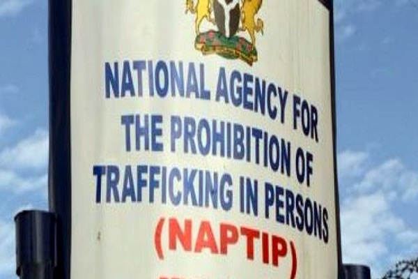 NAPTIP Warns On Dangers And Security Implications Of Human Trafficking ...